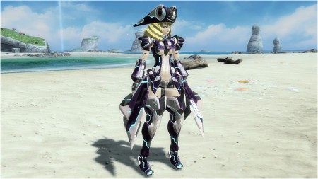PSO2 JP: Wild Ocean Pirates Coming August 7th | PSUBlog